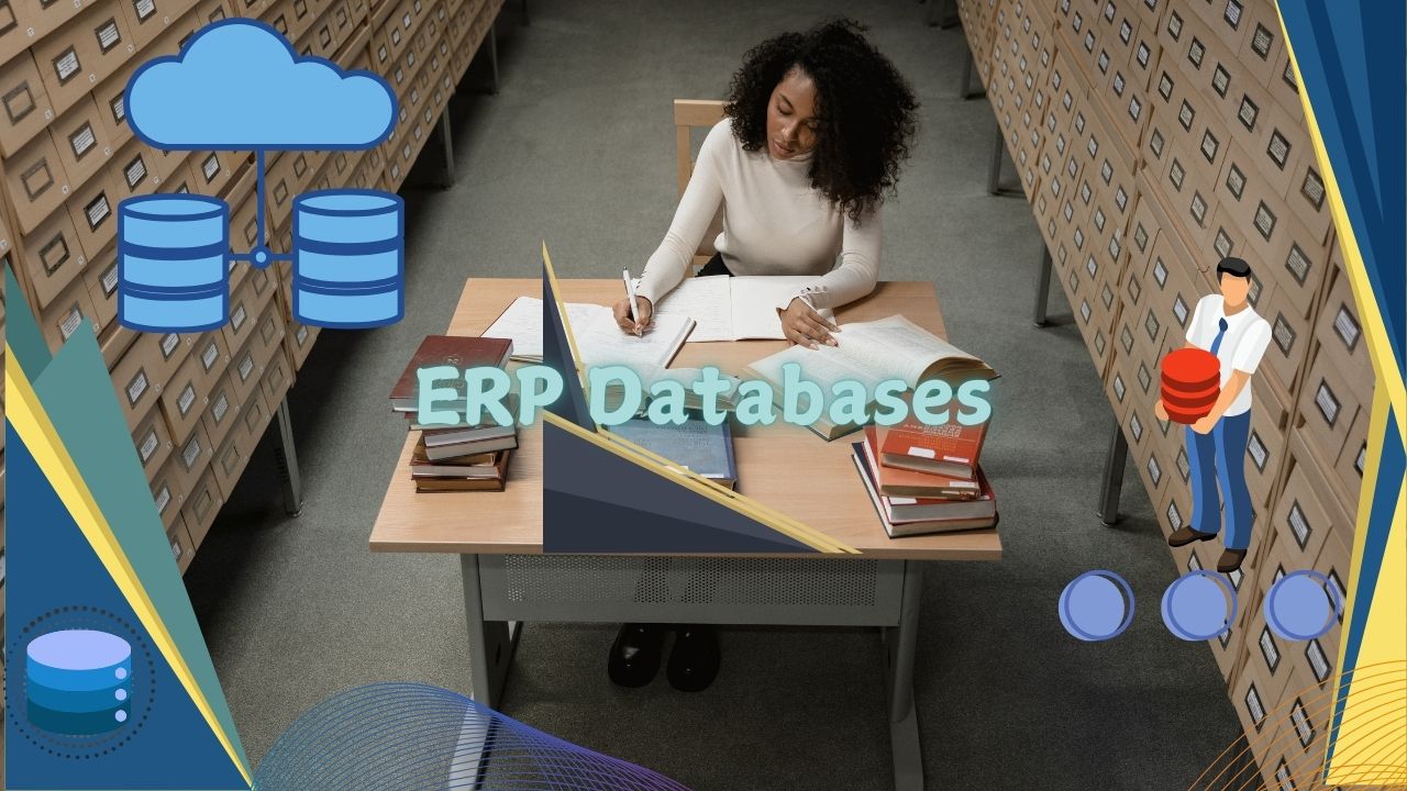 Erp Databases Understanding Erp Database Structures Bastaki Software